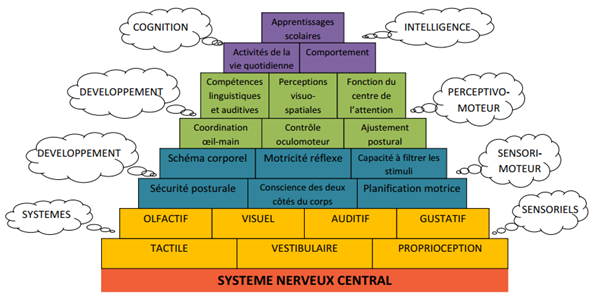 L’intégration sensorielle : l’approche et son efficacité auprès d ...