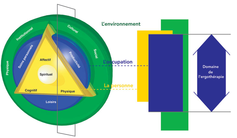 Stratégie d’intervention en ergothérapie et rendement occupationnel ...